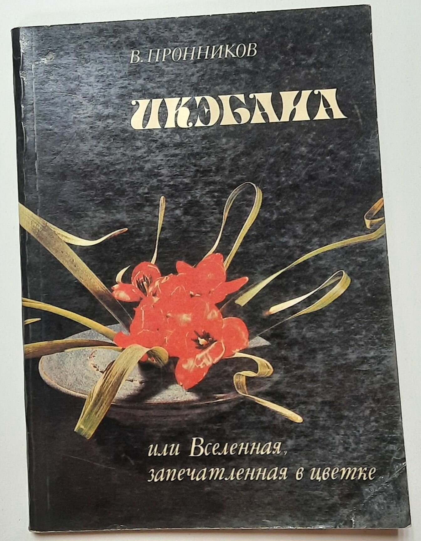 Икэбана или Вселенная, запечатленная в цветке