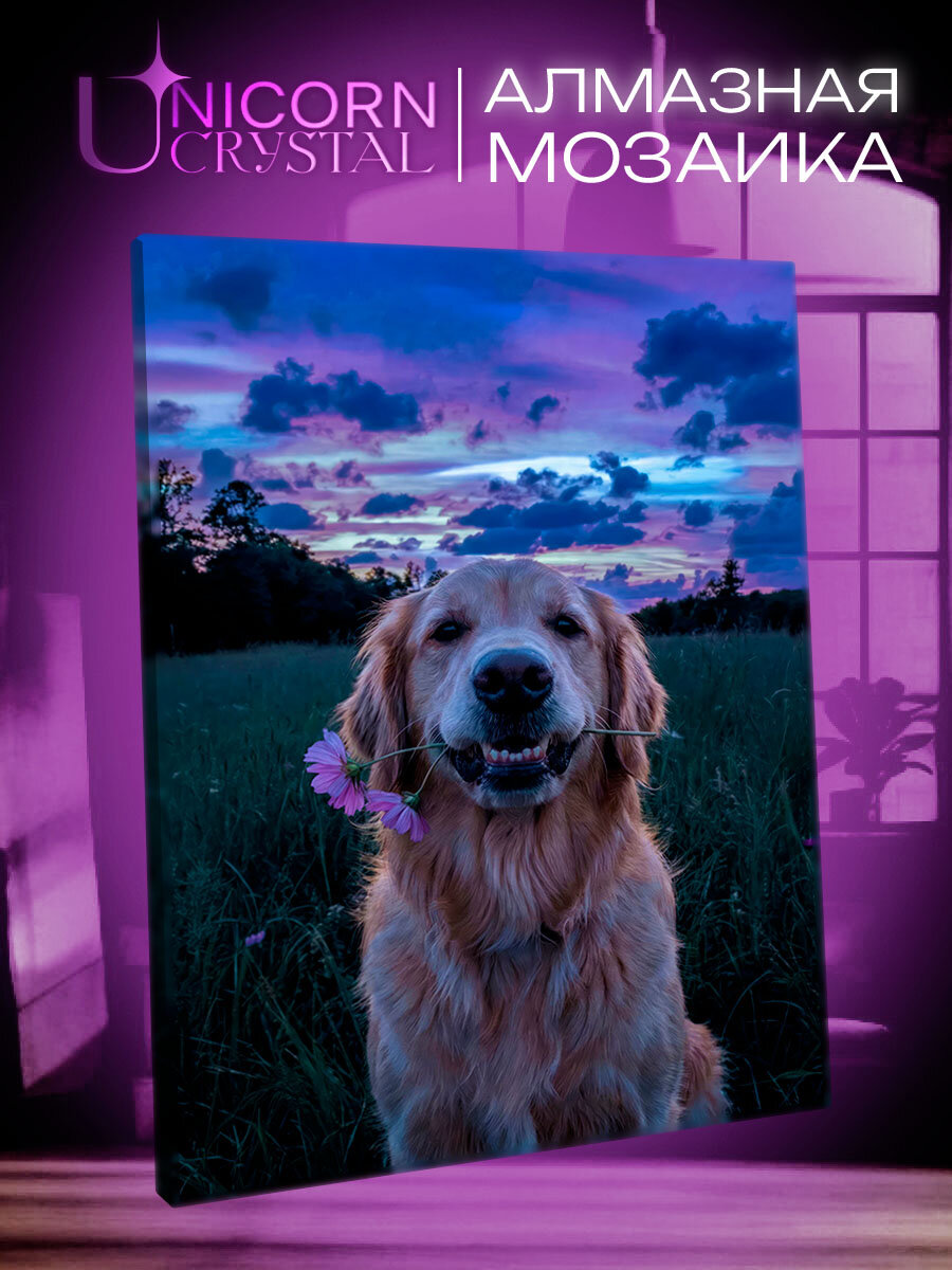 Алмазная мозаика Собака