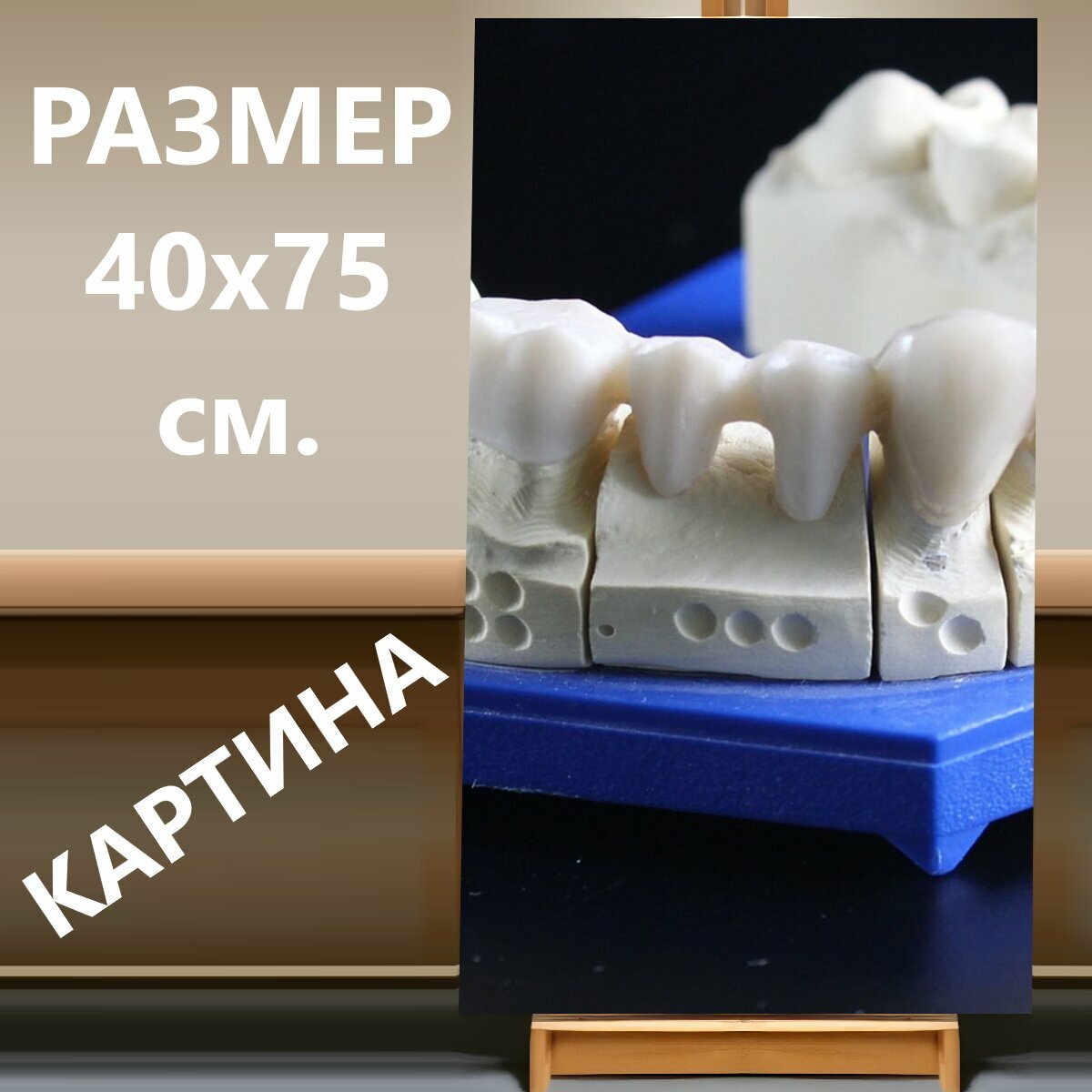 Картина на холсте "Зубные протезы, зубы, зубной техник" на подрамнике 75х40 см. для интерьера