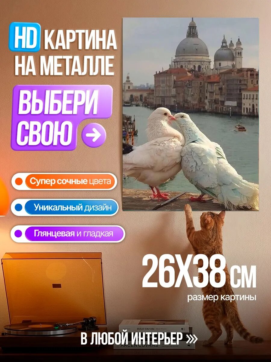 Картина на HD металле Голуби в Венеции
