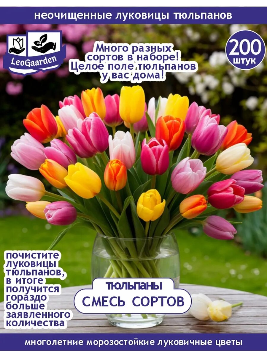 Тюльпан Луковицы неочищенные, Микс сортов,200 шт