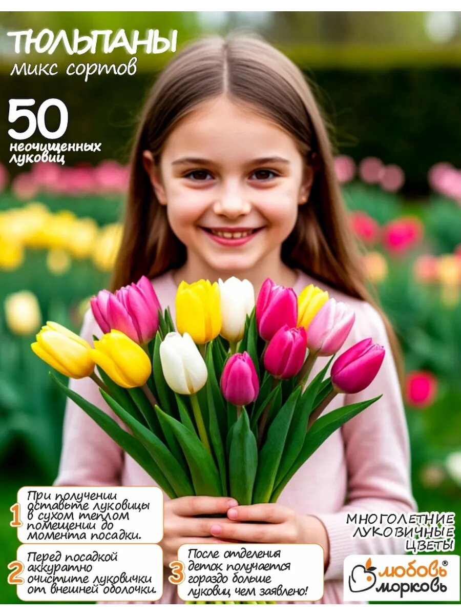 Тюльпан Луковица, Микс сортов 50 шт