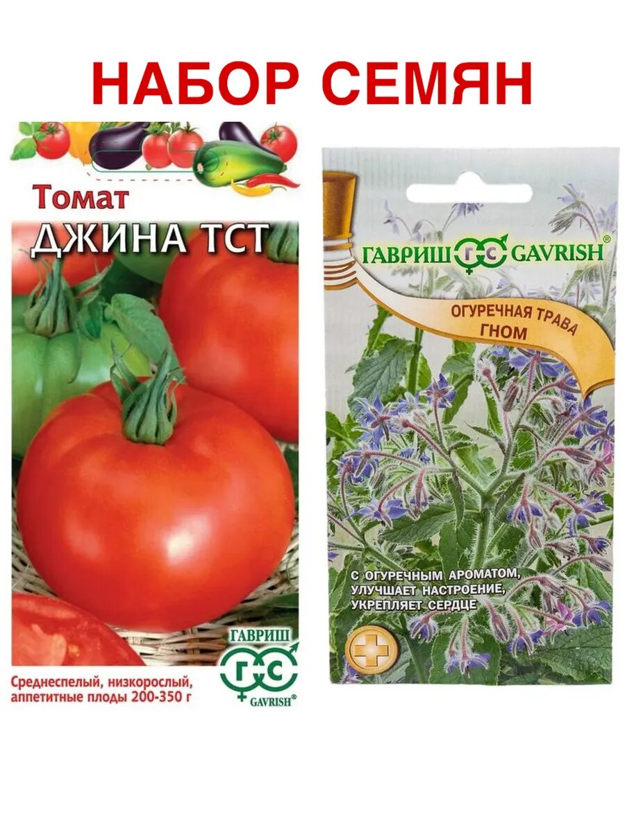 Набор семян Гавриш две упаковки: Томат Джина 0.05г и бораго Гном 0.5г