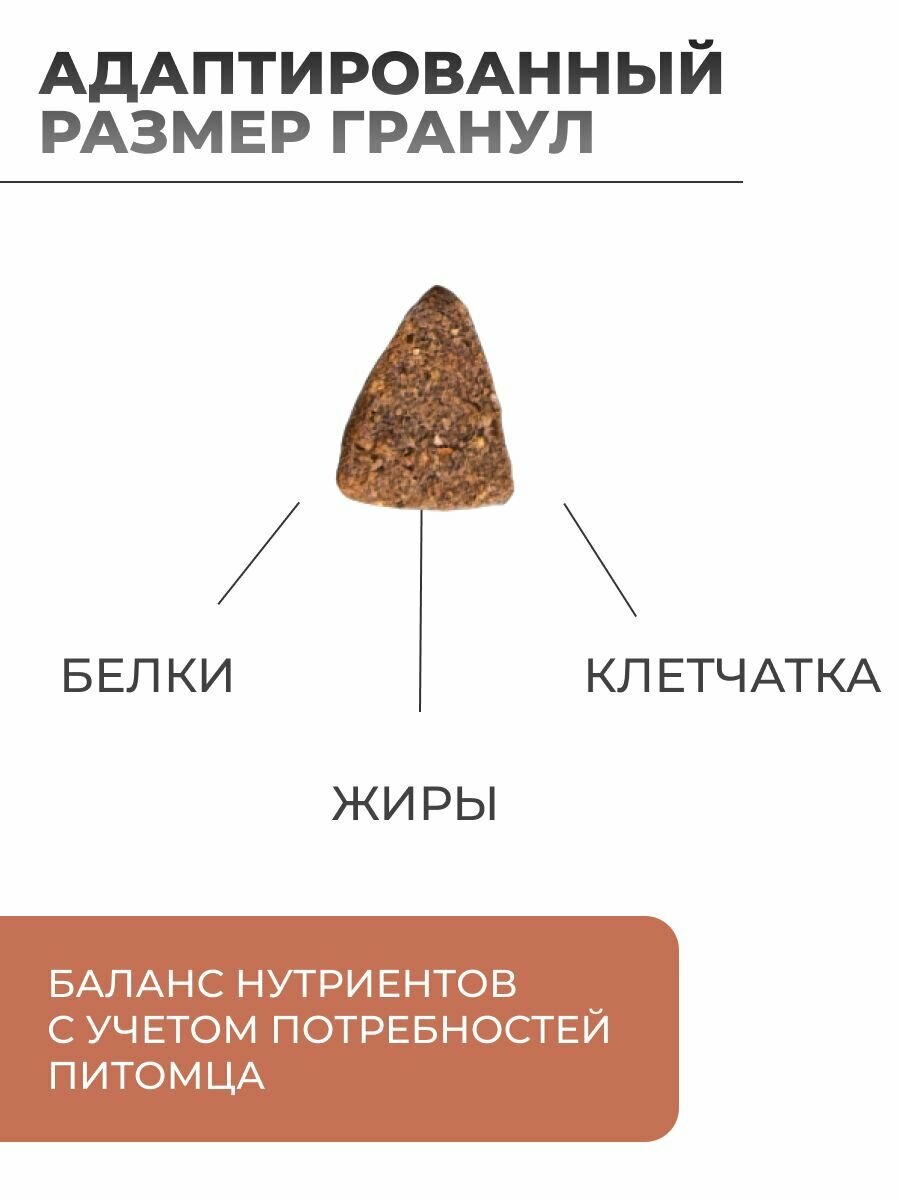 Корм сухой