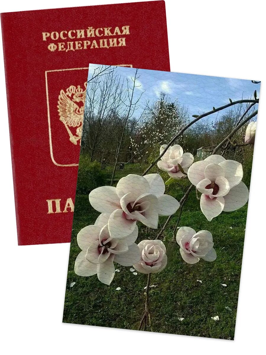 Обложка для паспорта