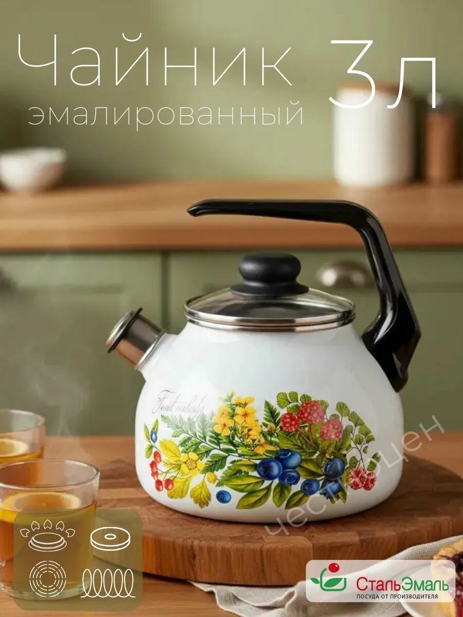 Чайник эмалированный для плиты 3,0л Лесная мелодия со свистком