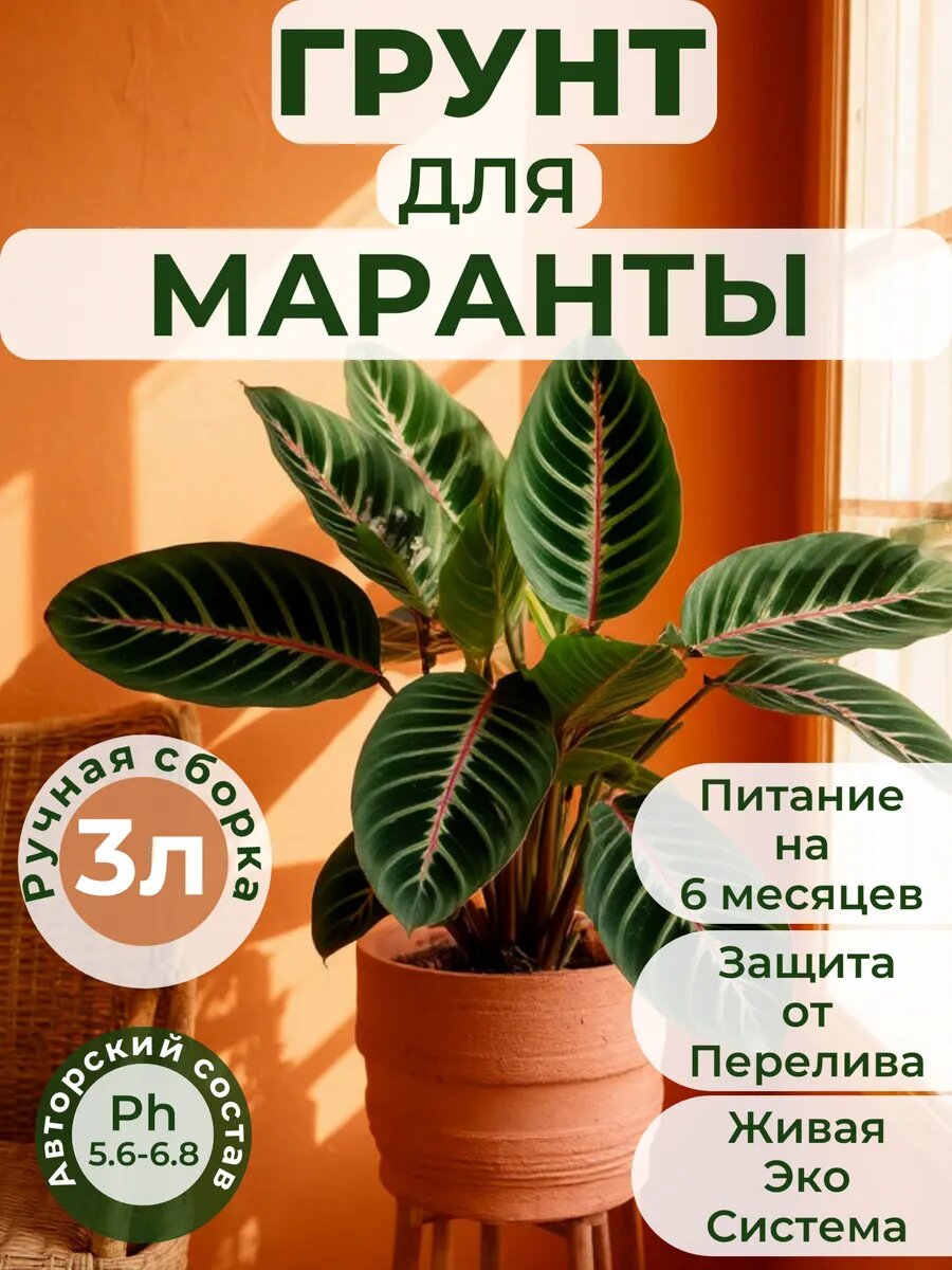 Готовый авторский грунт для Маранты, премиум 3 литра
