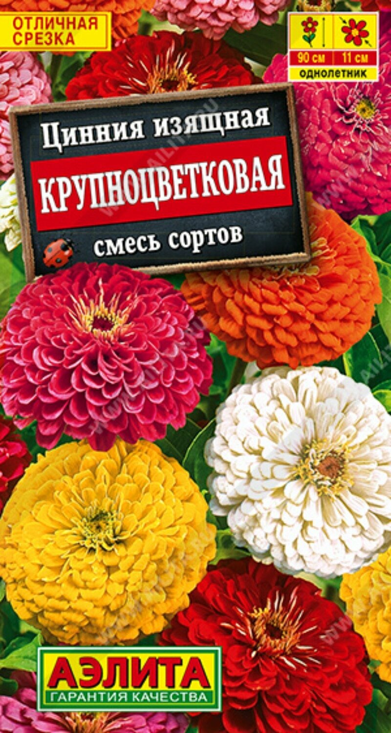 Семена Цинния Крупноцветковая, смесь сортов (0,5 г), Агрофирма Аэлита