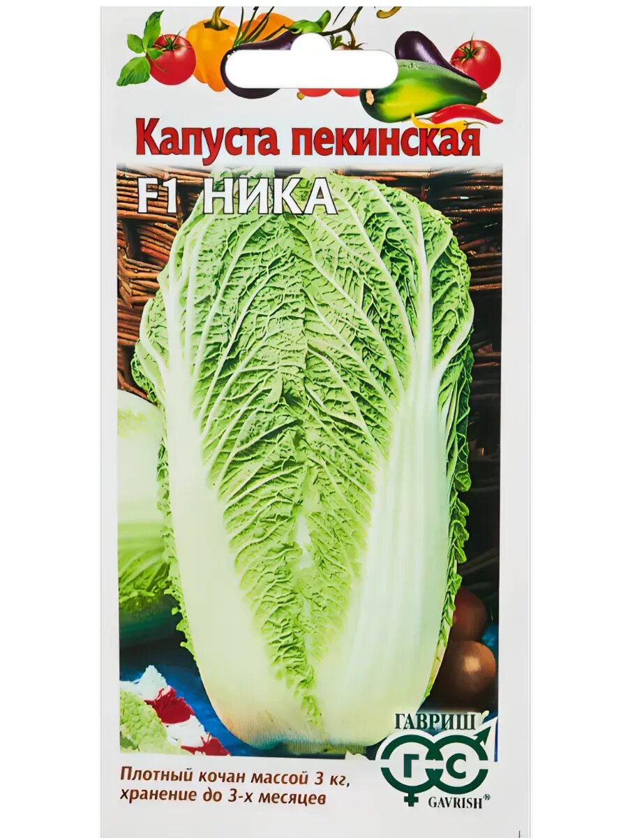 Семена капуста пекинская Ника