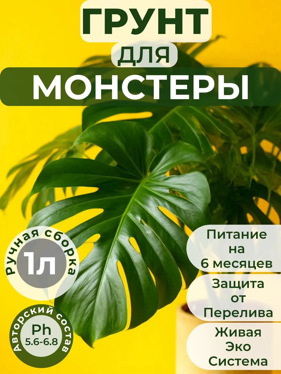 Готовый авторский грунт для Монстеры, премиум 1 литр