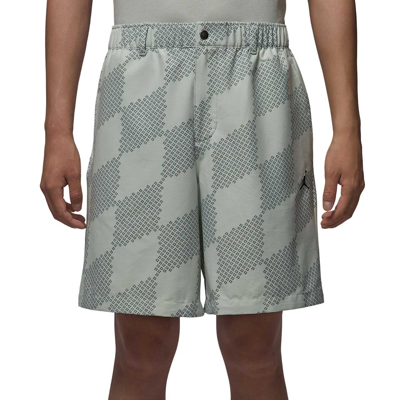 Шорты спортивные Jordan Dri FIT