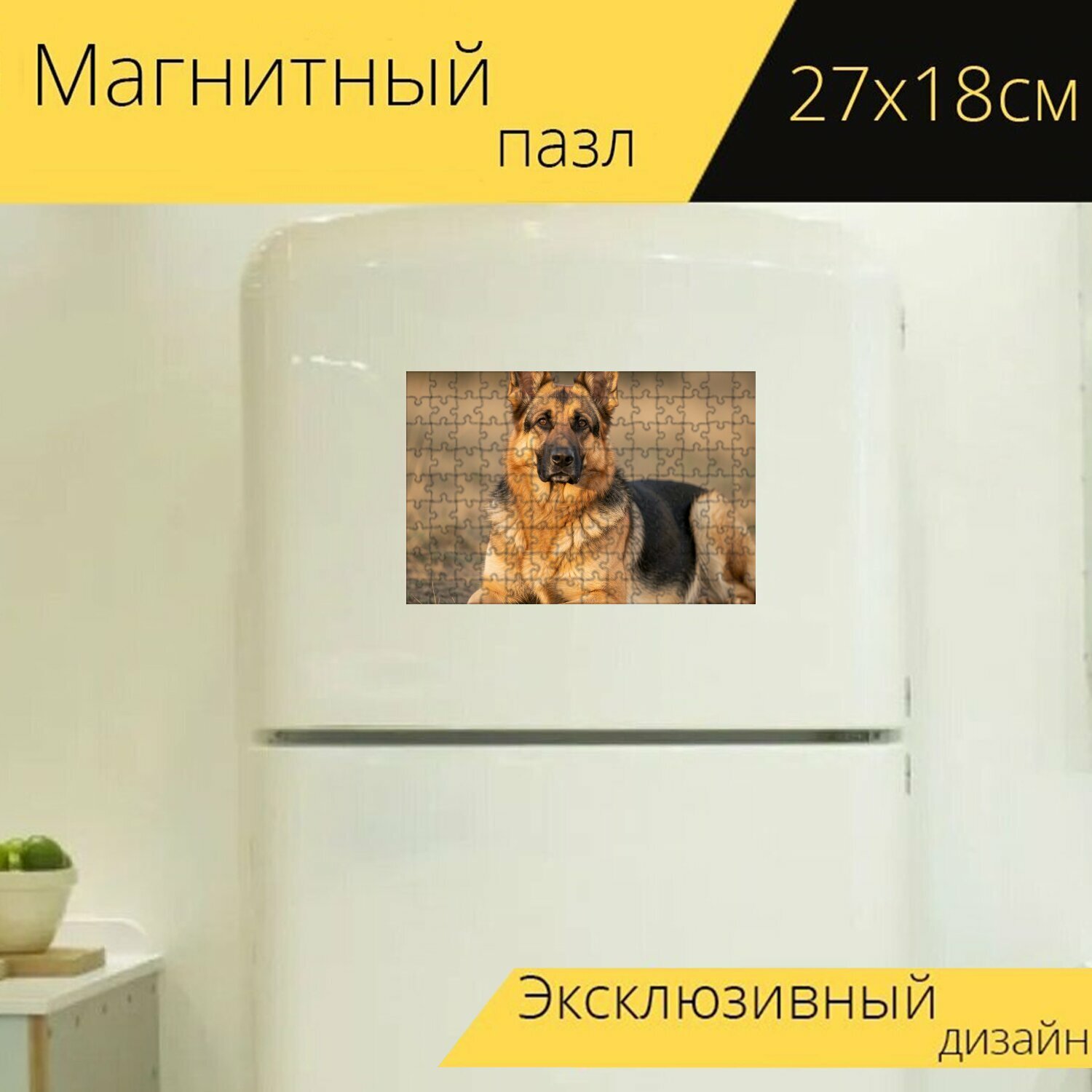 Магнитный пазл "Немецкая овчарка в траве. Внимательный пес с крупными стоячими ушами лежит на сухой траве, фотореалистичная съемка в теплых." на холодильник 27 x 18 см.
