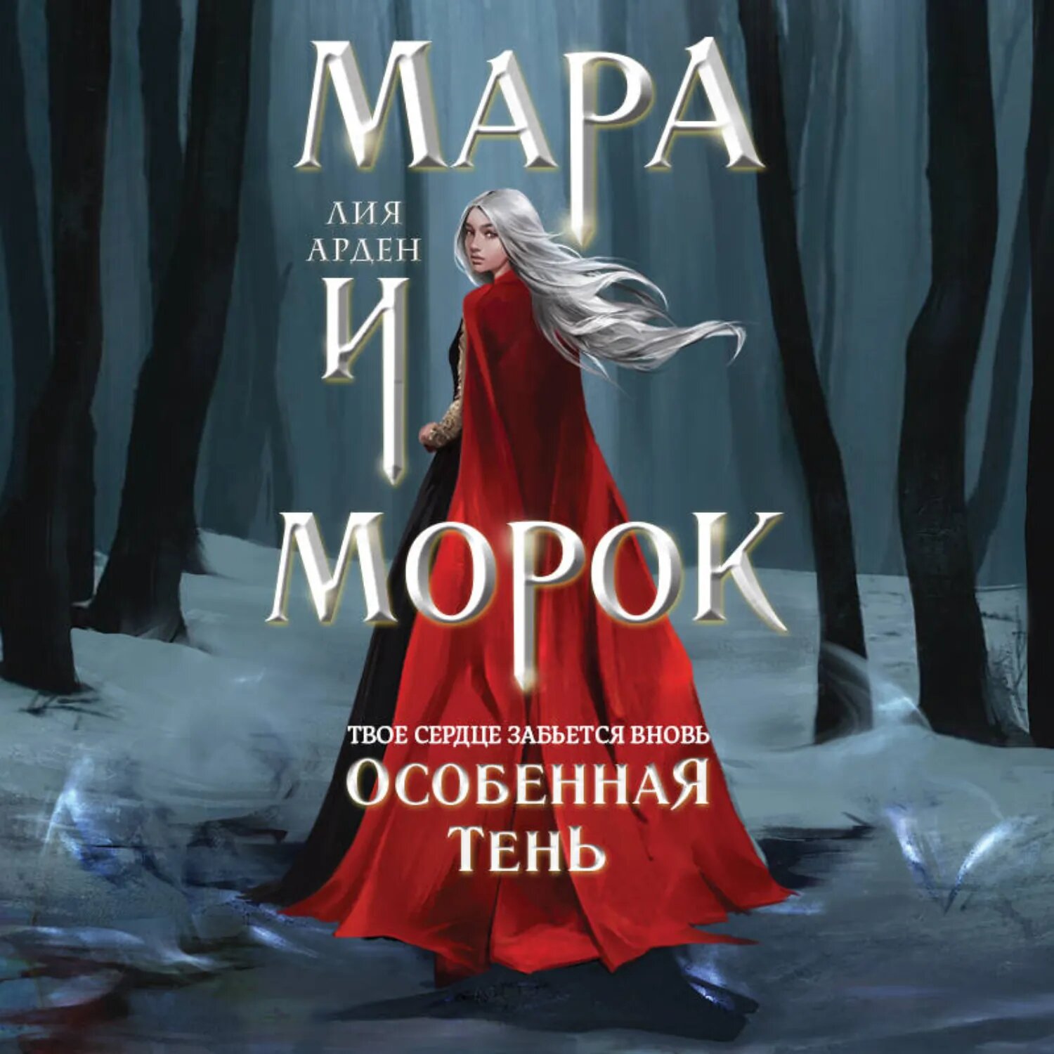 Мара и Морок. Особенная Тень [Аудиокнига]