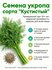Семена Укроп Кустистый