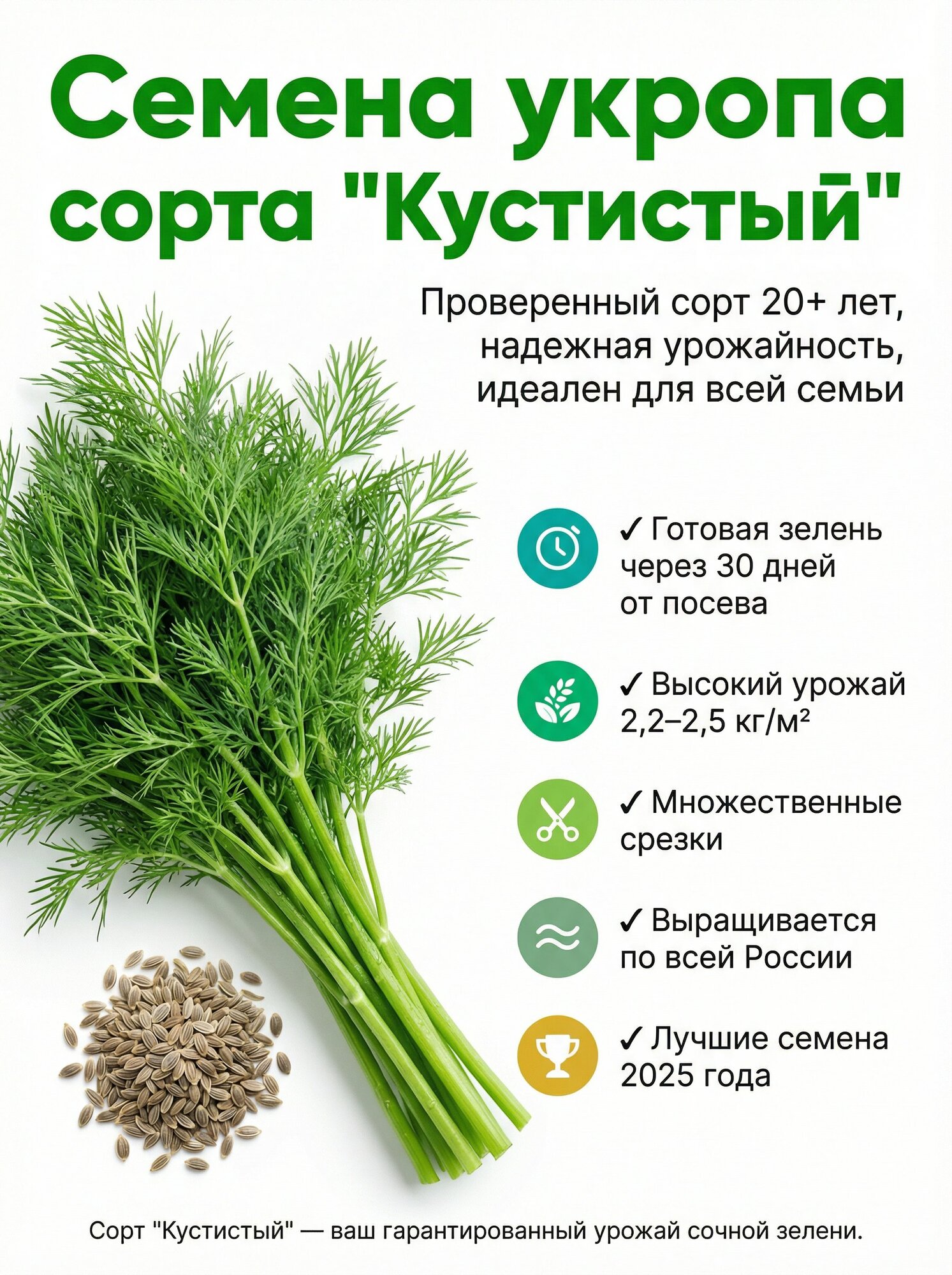 Семена Укроп Кустистый