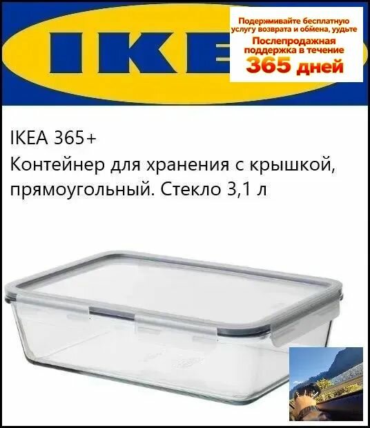 Гастроемкость, 1 шт