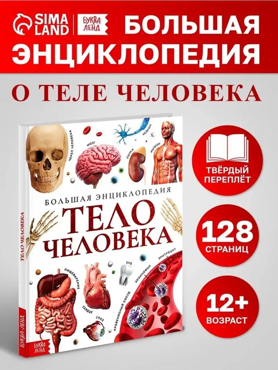 Энциклопедия по анатомии для детей и взрослых