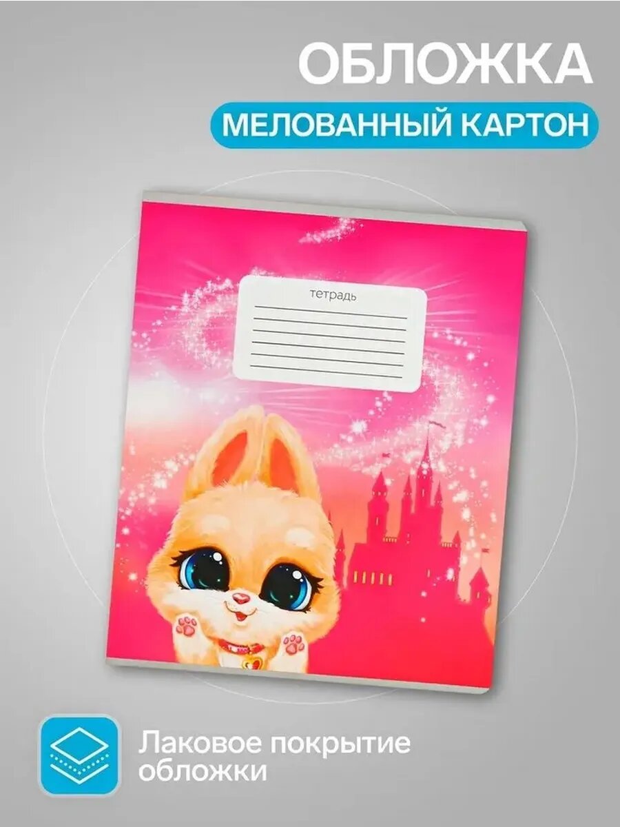 Милый комплект тетрадей для учебы и творчества