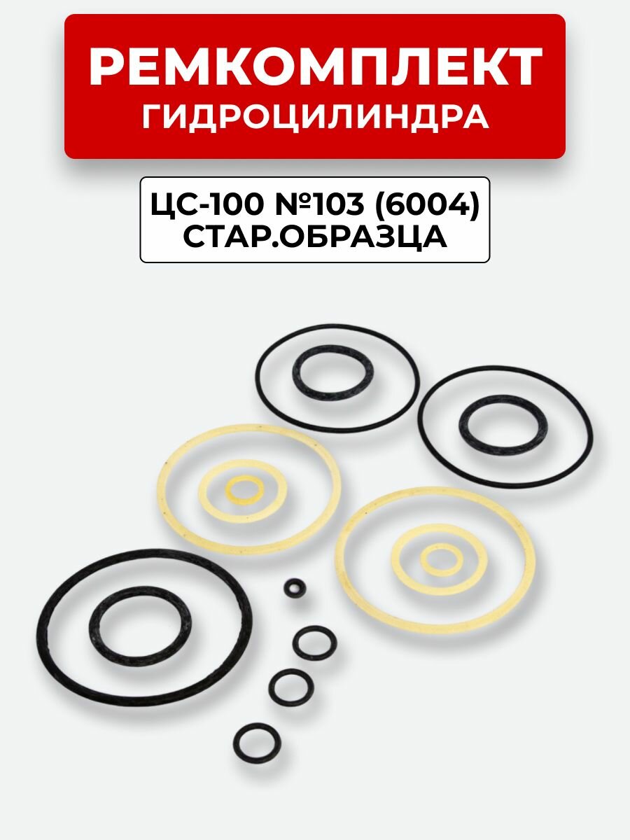 Ремкомплект гидроцилиндра ЦС-100 №103 (6004) Стар. образца