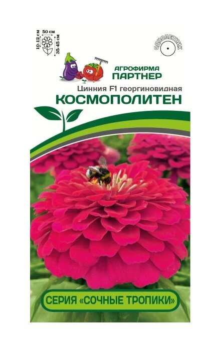 Семена цинния партнер Космополитен, однолетняя, махровая, 4 шт