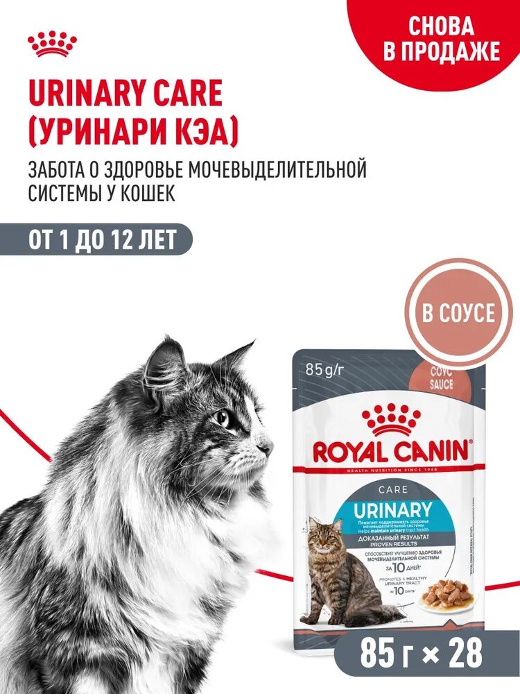 Влажный корм для кошек Royal Canin Urinary Care для здоровья мочевыделительной системы, кусочки в соусе, 85 г х 28 шт