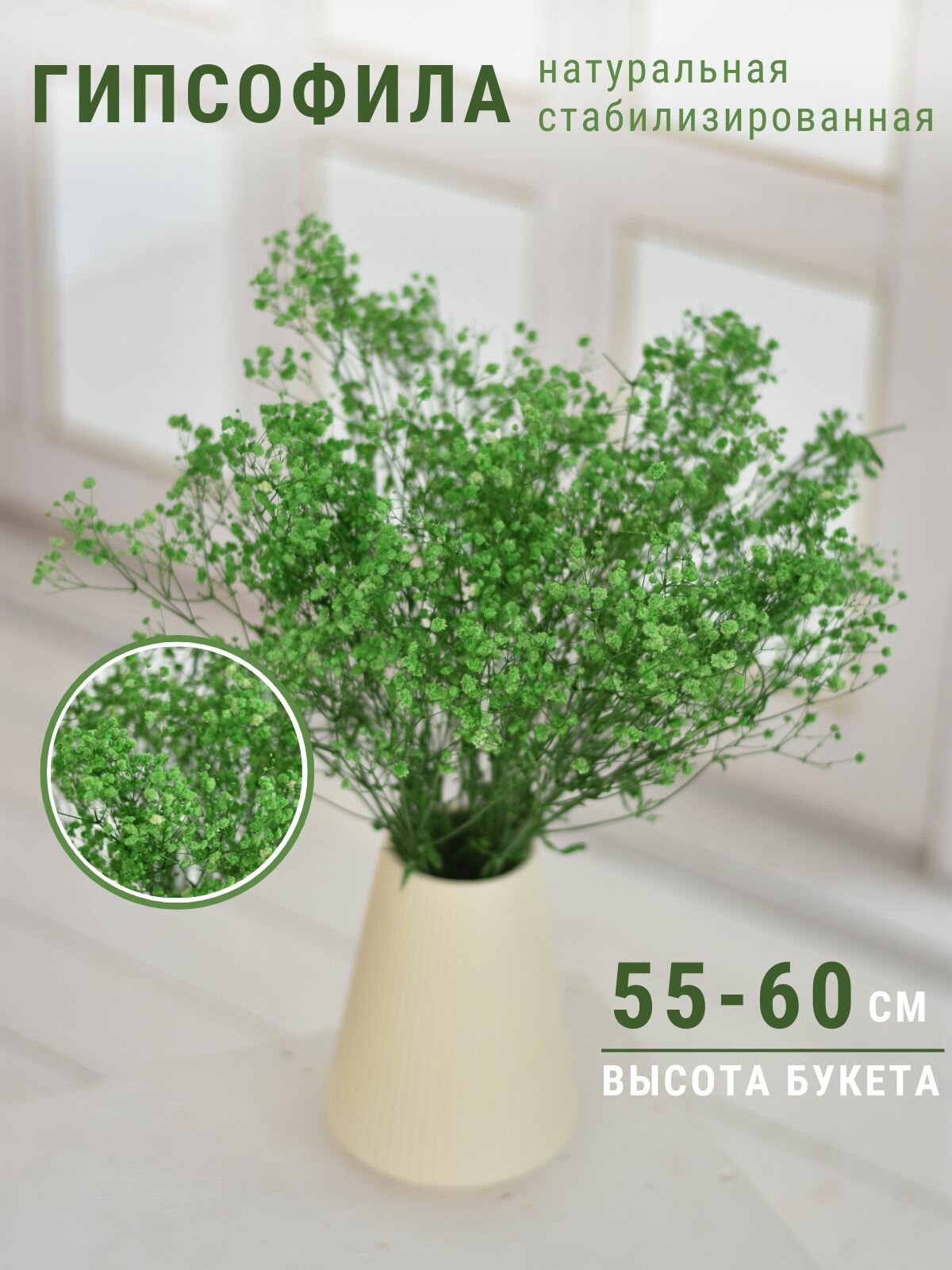Сухоцветы для декора гипсофила стабилизированная Trava Decor искусственные цветы для вазы, зеленная