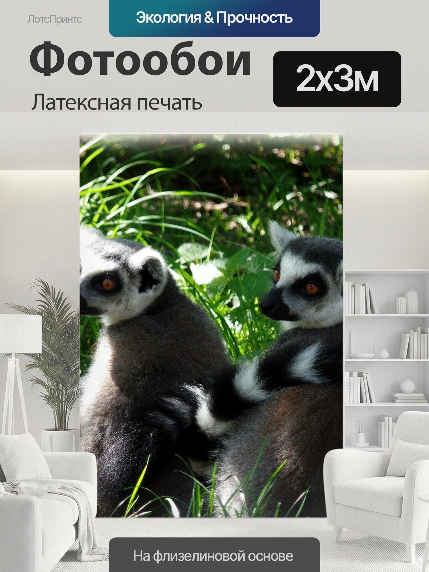 Фотообои моющиеся ударопрочные "Лемуры, обезьяны, сафари" 200x300 см. латексная печать