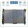STRON STR0541 Радиатор двигателя ()