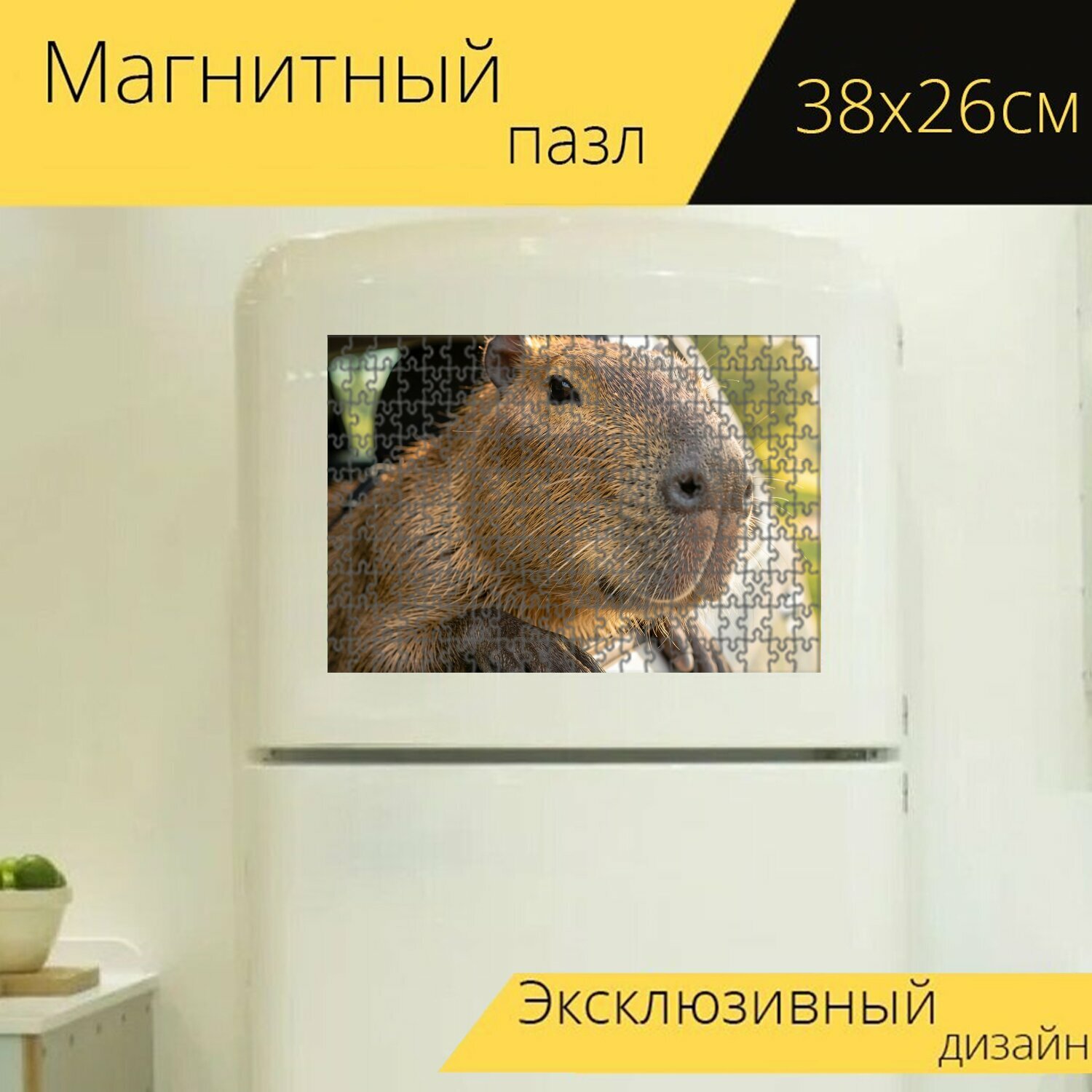 Магнитный пазл "Капибара у окна автомобиля. Крупный план милого грызуна, выглядывающего из машины, с мягкой размытостью фона и тёплым солнечным светом." для интерьера, 38х26 см.