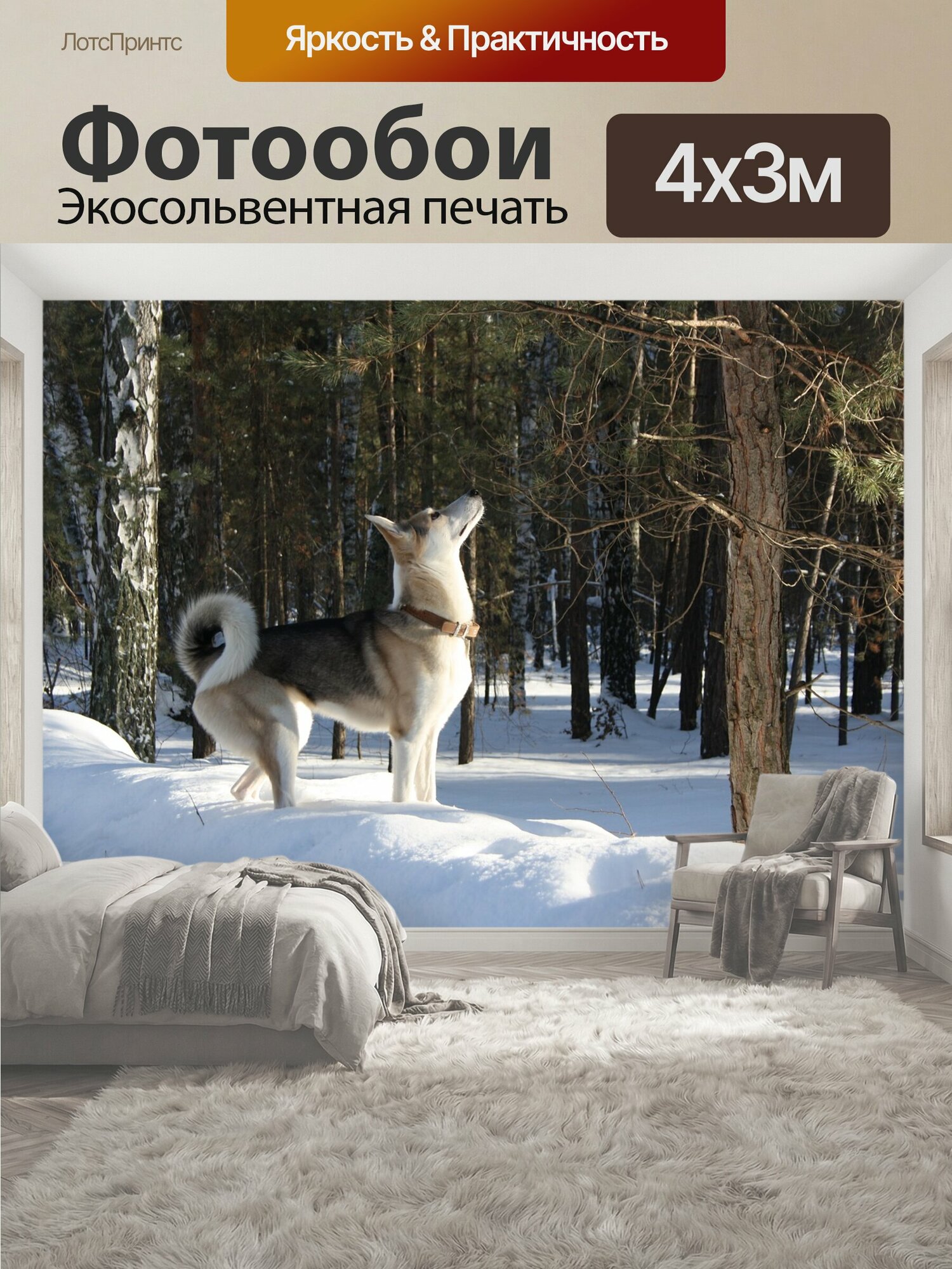 Фотообои "Собака, лайка, охота" 400x300 см. экосольвентная печать