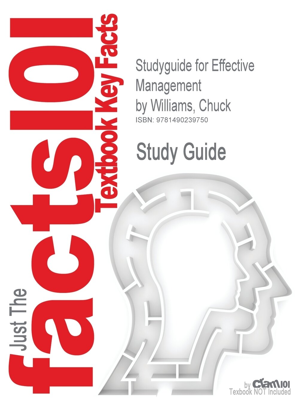 Studyguide for Effective Management by Williams, Chuck — фото 1