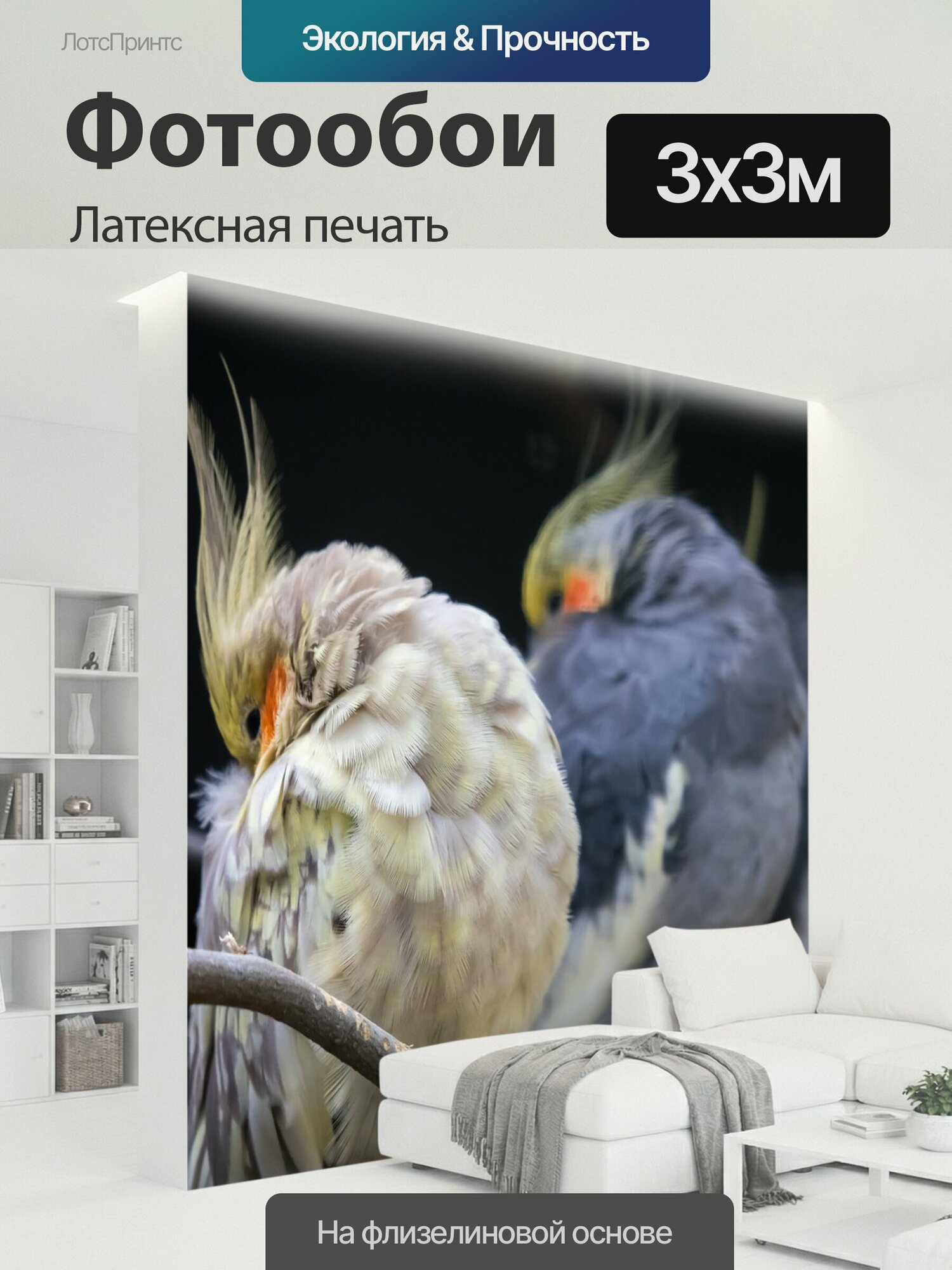 Фотообои моющиеся ударопрочные "Корелла, попугай, птица" 300x300 см. латексная печать