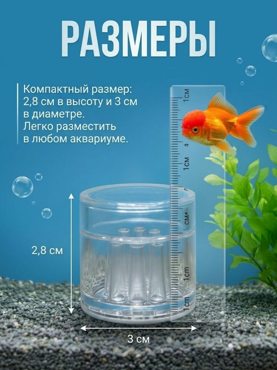 Ловушка для планарий — фото 1
