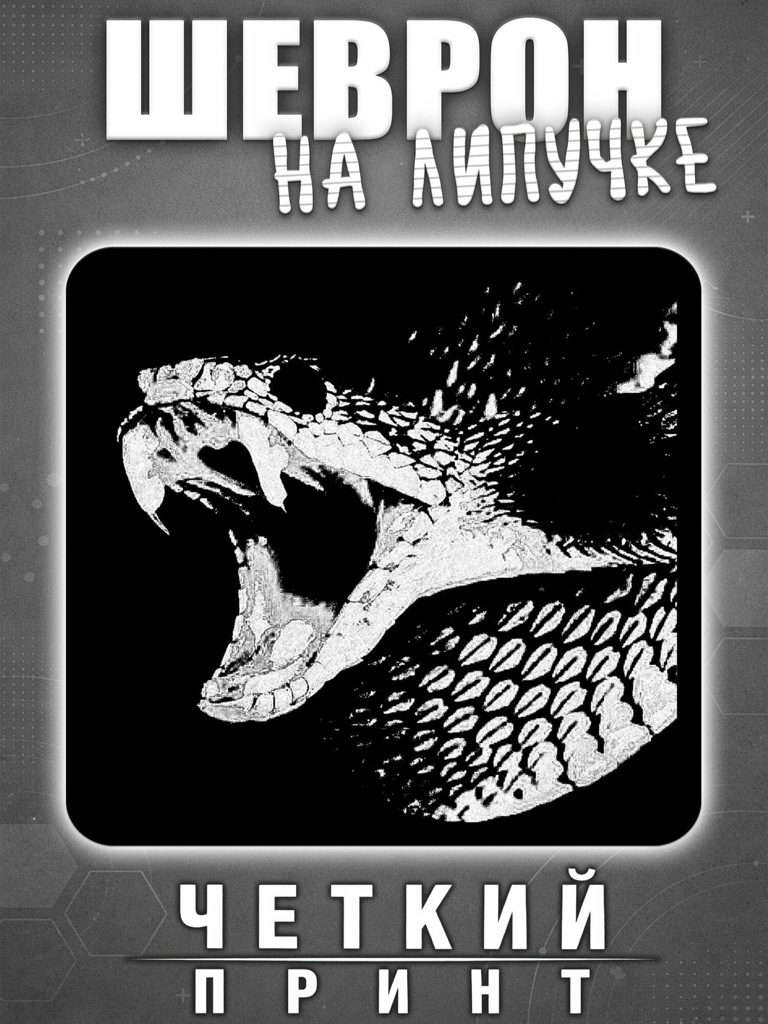 Шеврон гадюка