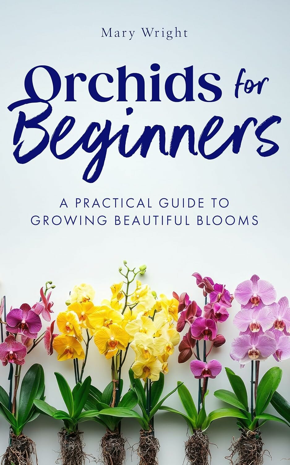 Orchids for Beginners: A Practical Guide to Growing Beautiful Blooms，Reprinted paperback book