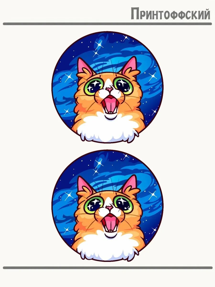 2-е (Две) Термонаклейки космический котик