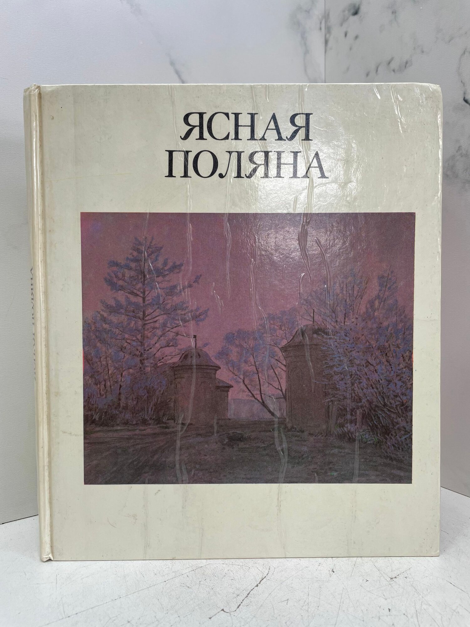 Ясная Поляна — фото 1