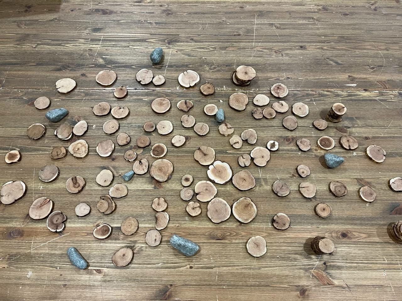 Спилы ароматного сибирского можжевельника 0,5 кв. м (4-8 см)