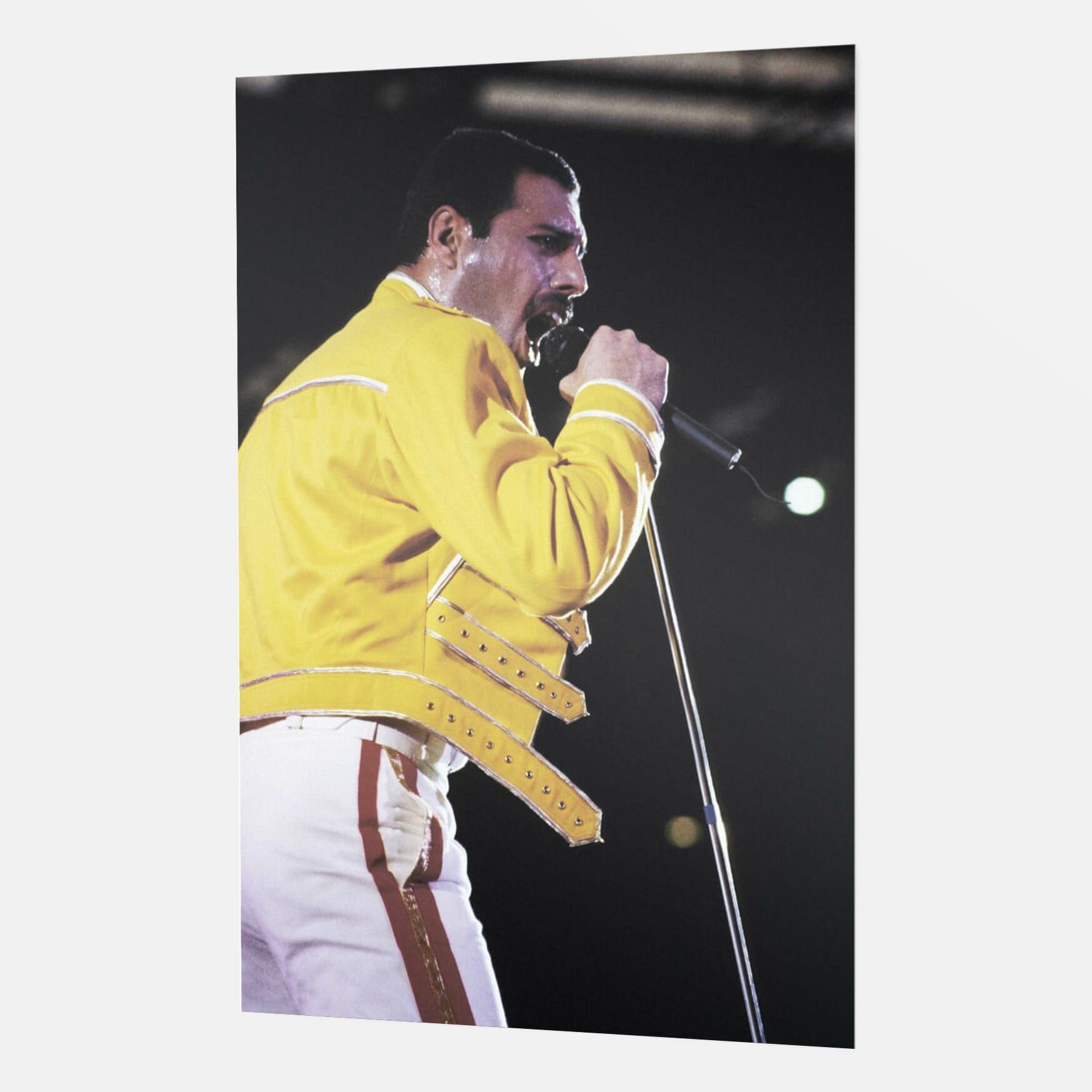 Постер (плакат) Фредди Меркьюри Queen 60x90 см. от Poster4me