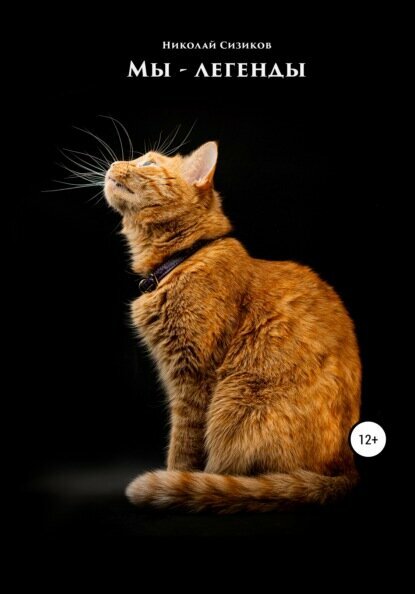 Мы – легенды [Цифровая книга]