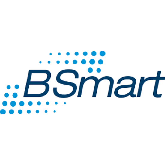Термоголовка Bsmart 300dpi для принтера BS460