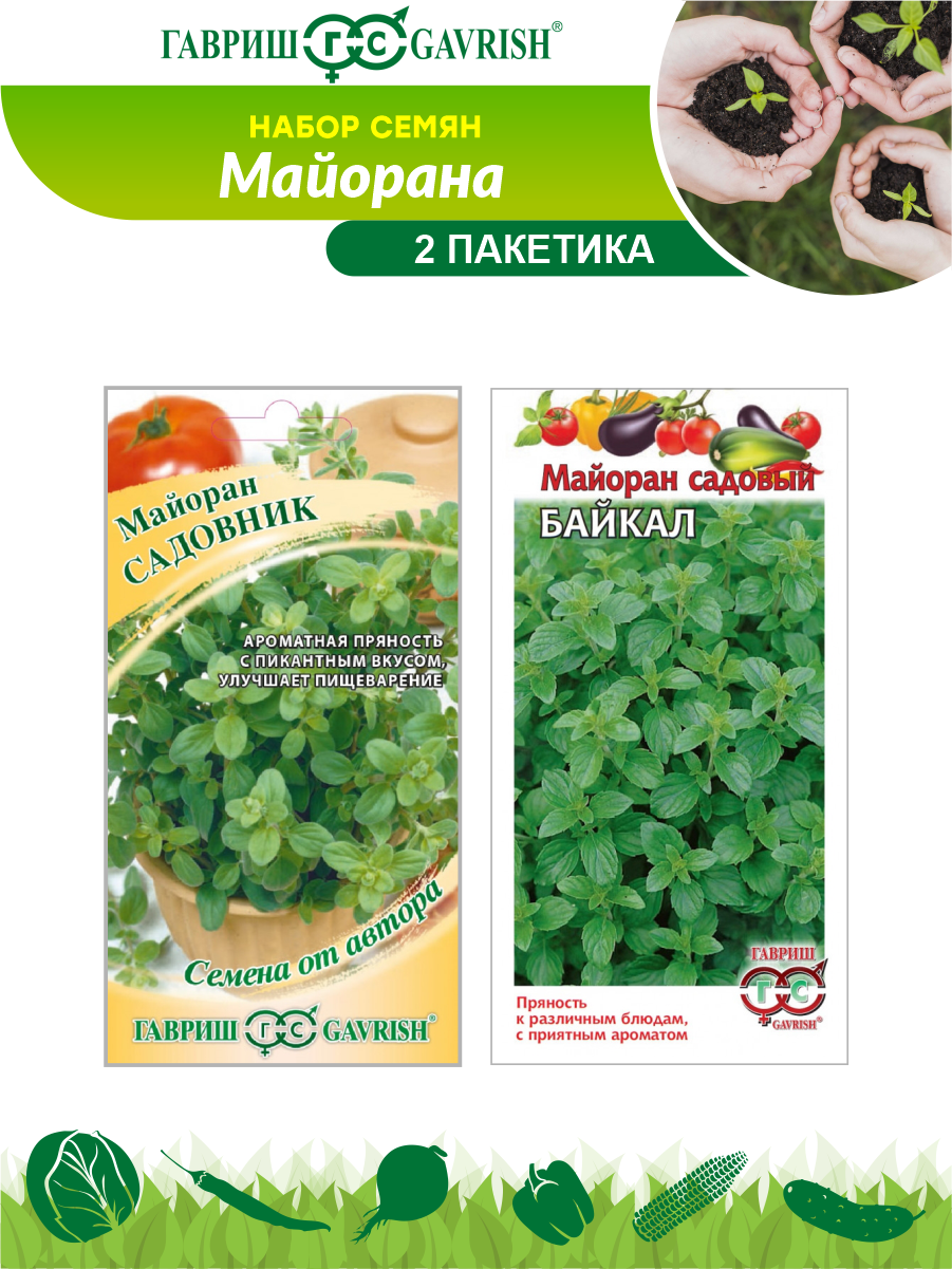 Набор семян Гавриш Майорана / Семена Майорана