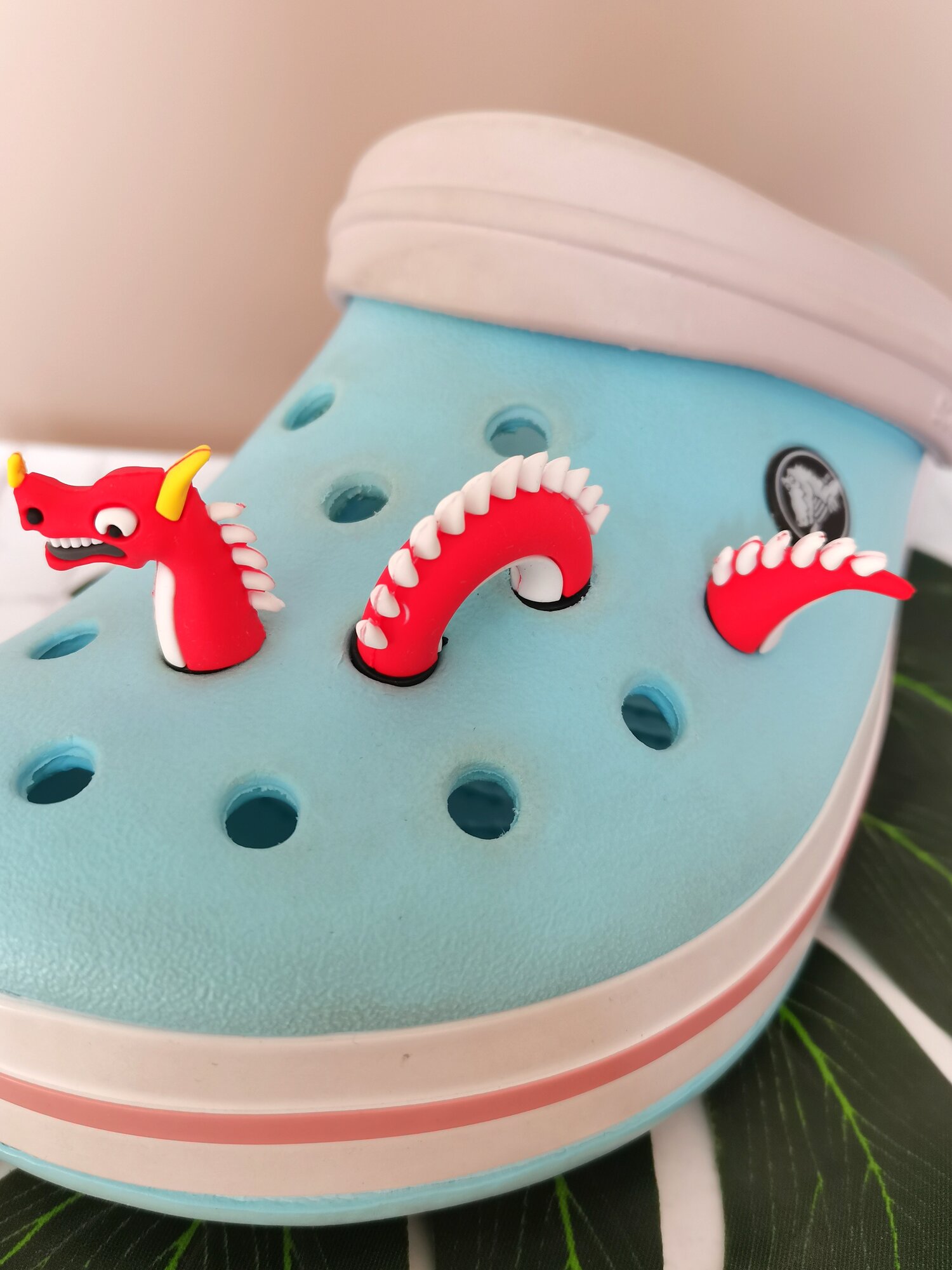 Джибитс 3-д дракон на Crocs — фото 1