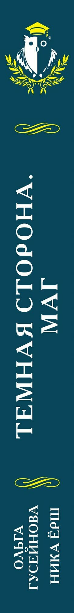 Темная сторона. Маг (Ника Ёрш)