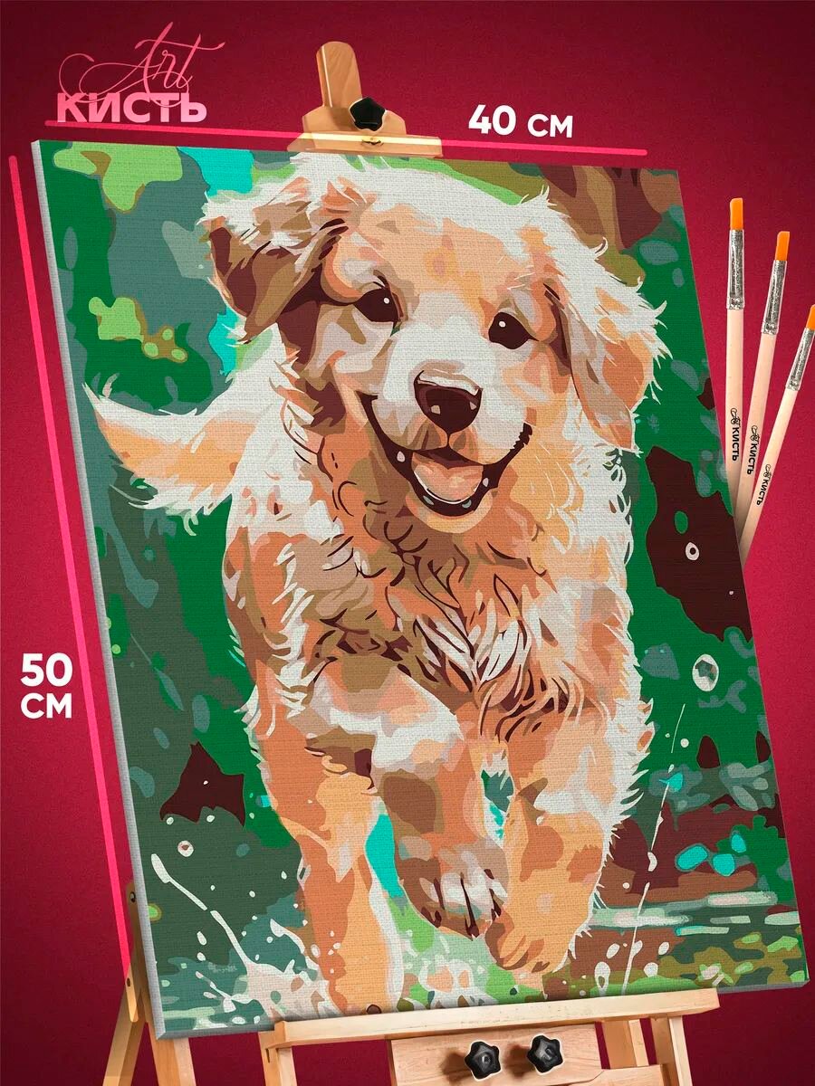 Картина по номерам на холсте с подрамником 40х50 Собака Веселый лабрадор