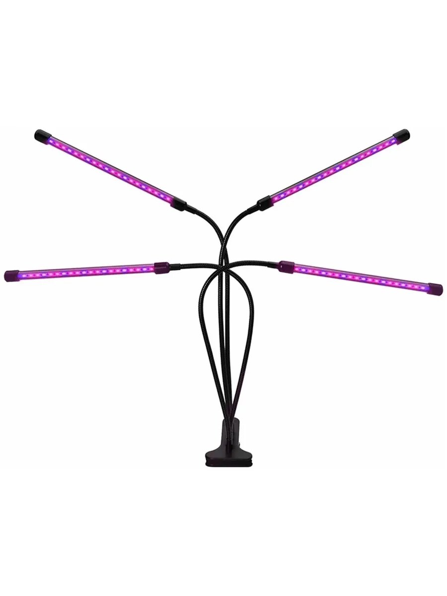 Энергия роста: фитолампа для растений