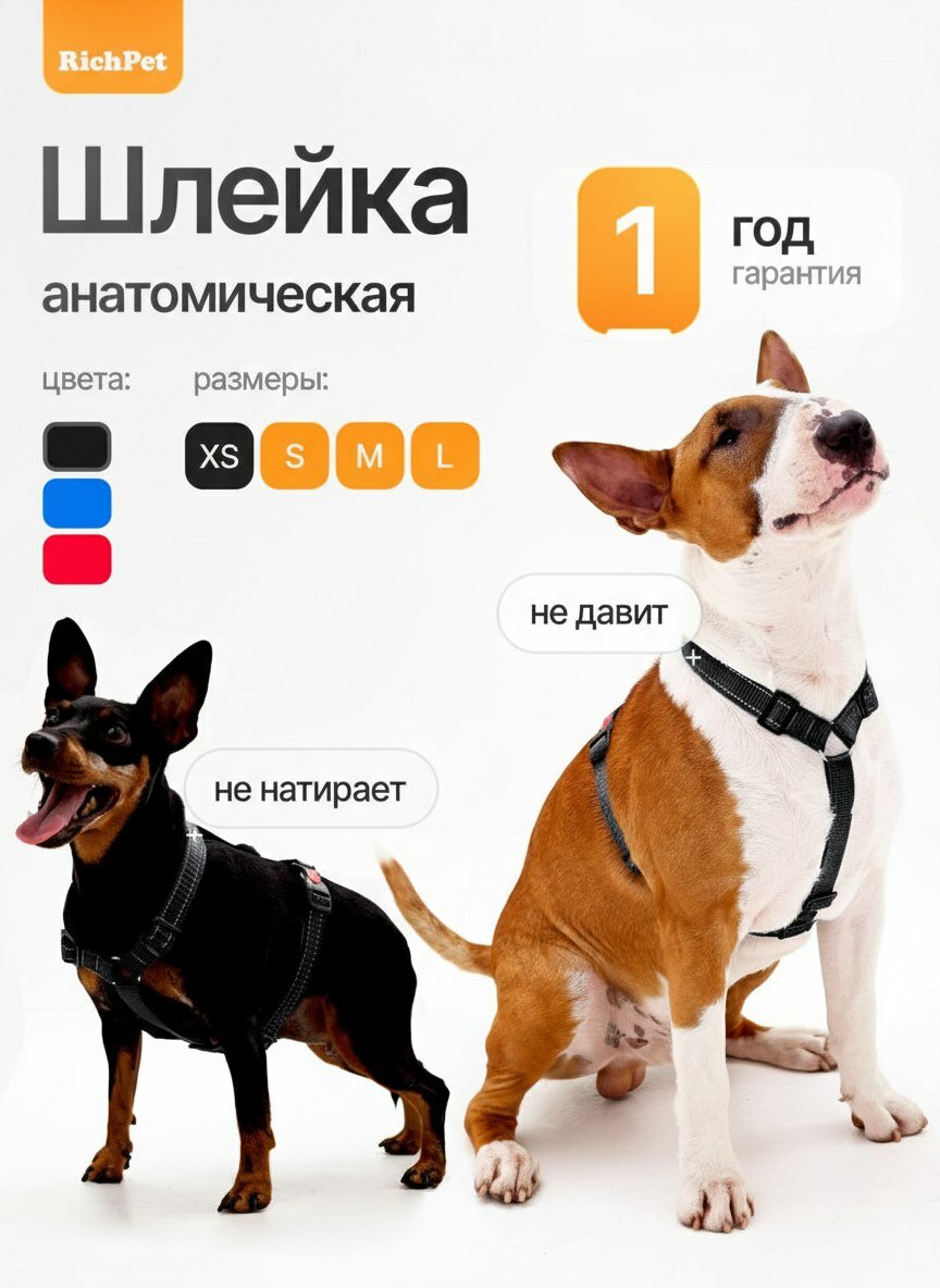 Шлейка для собак мелких и средних пород RichPet, цвет черный, размер XS