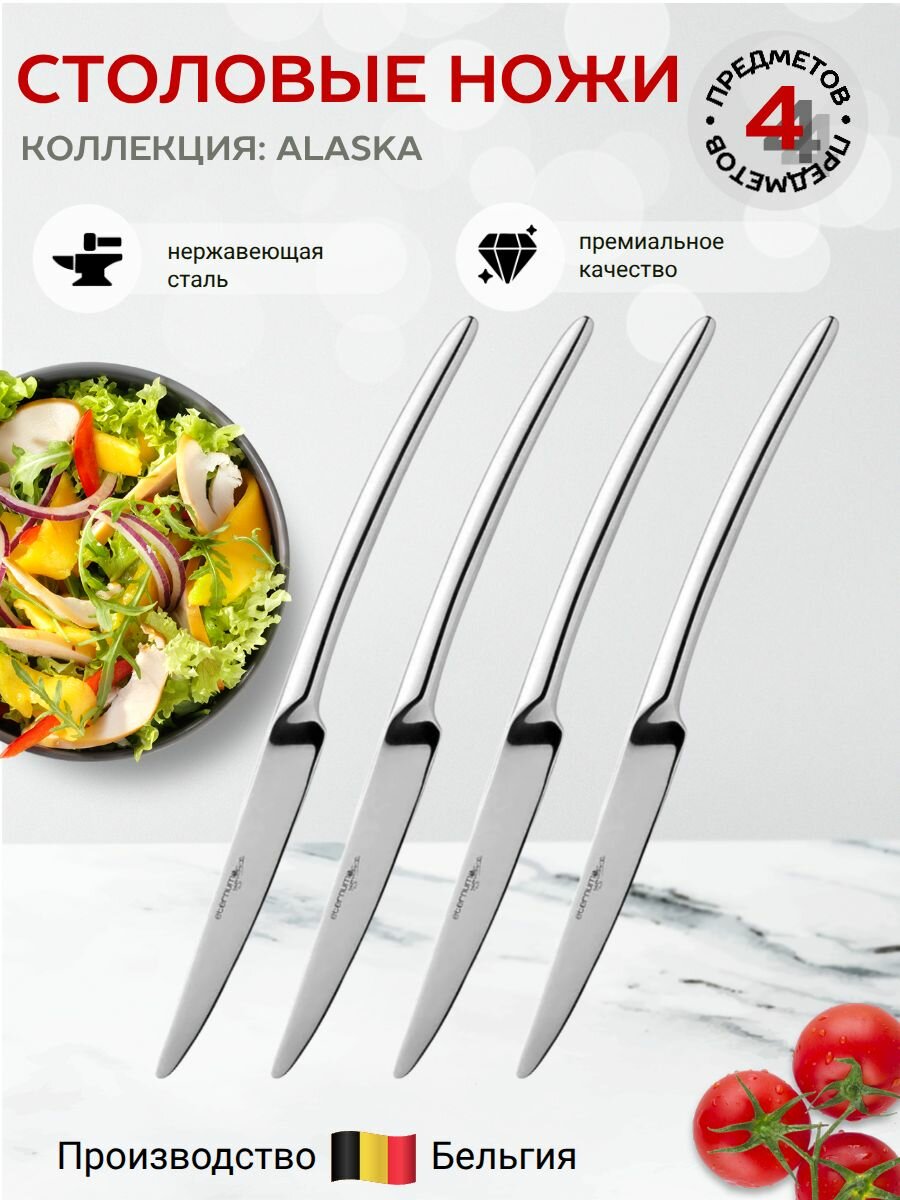 4 столовых ножа Eternum Alaska сталь