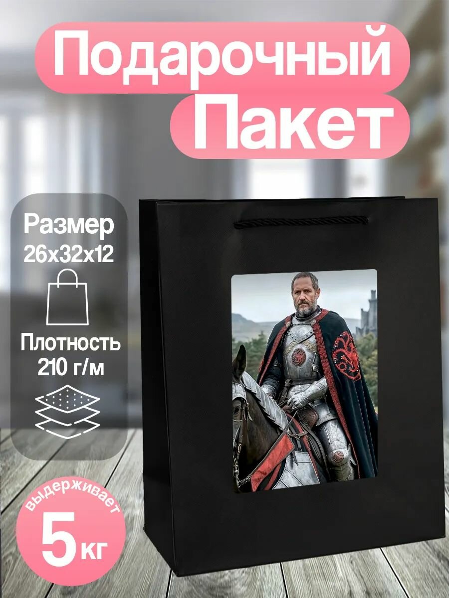 Пакет подарочный Рыцарь семи королевств, упаковка для подарка, 26х31 см