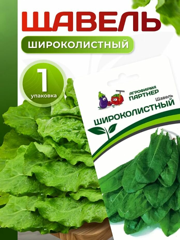 Семена щавеля Широколистный